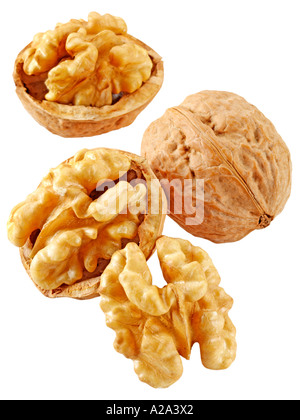 Walnuts in shell on a white background Stock Photo - Alamy