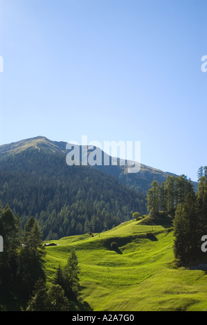 Beautiful Swiss mountain landscape green grass, blue sky, white clouds ...