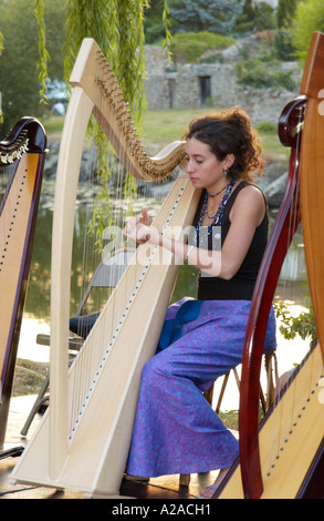 Female musician harpist playing wooden harp during symphonic concert on ...