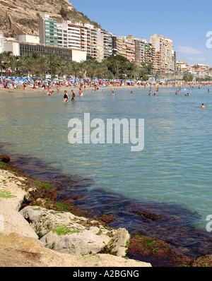 Seafront Alicante Alacant Valencia Comunitat Comunidad Valenciana Stock ...