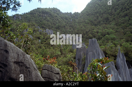 Limestone pinnacles on Mount Api, Gunung Mulu National Park, Sarawak ...