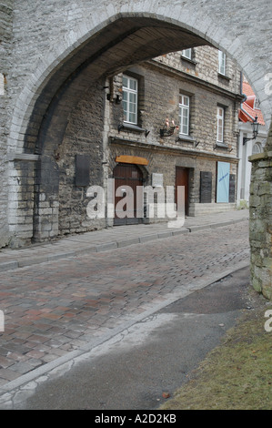 Fat Margaret Tower, location of the Estonian Maritime Museum, Vanalinn ...