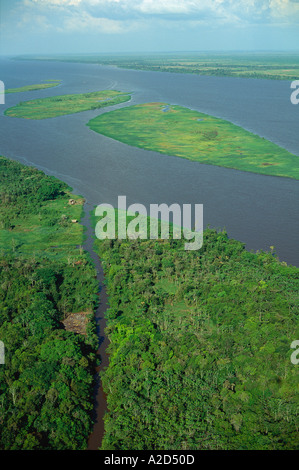 Aerial view of lower Amazon floodplain at low water level during dry ...