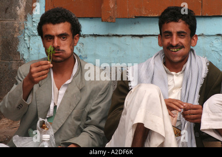 chewing qat (khat), a stimulant plant that is popular in Yemen and ...