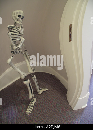 Skeleton standing in closet waving Stock Photo - Alamy