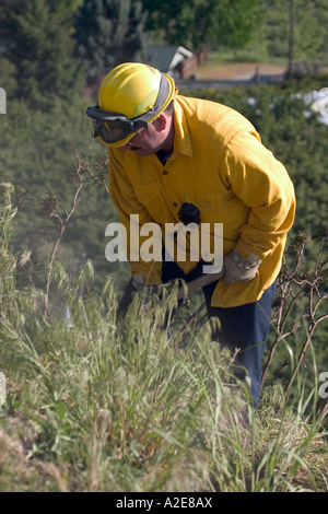 Fireman digging a trench at a brush fire Stock Photo - Alamy