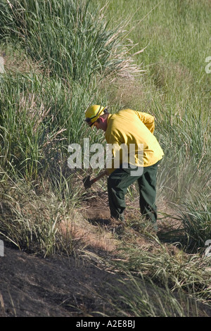 Fireman digging a trench at a brush fire Stock Photo - Alamy