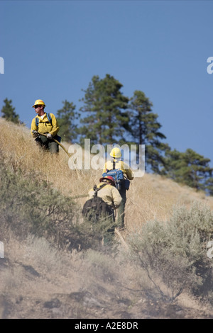 Firemen at a wildland fire building a fire line Stock Photo - Alamy
