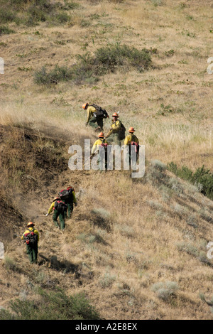 Hot Shot Crew at a wildland fire building a fire line Stock Photo - Alamy