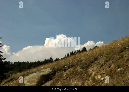 Smoke plume from the Tripod Complex wildfire in North Central ...