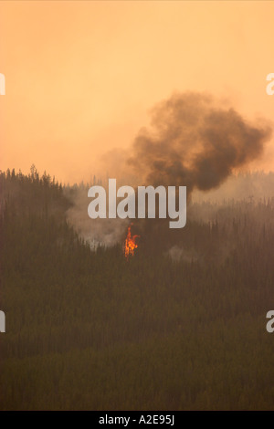 Smoke plume from the Tripod Complex wildfire in North Central ...