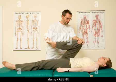 The musculoskeletal system Stock Photo: 13175343 - Alamy