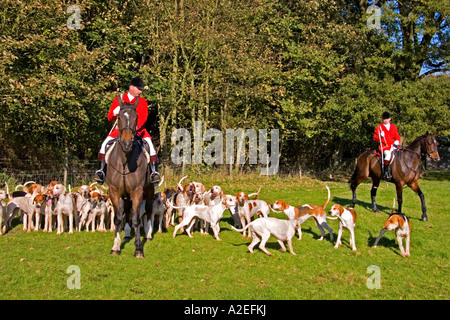 Huntsman and Whipper In of the Suffolk Hunt with the hounds and the ...
