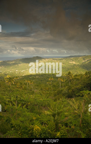 BARBADOS, Inland, Mount Hillaby: Late Afternoon from Barbados' Highest ...