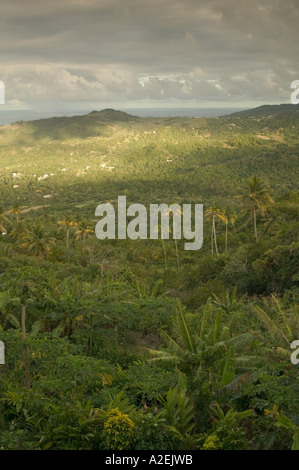 BARBADOS, Inland, Mount Hillaby: Late Afternoon from Barbados' Highest ...