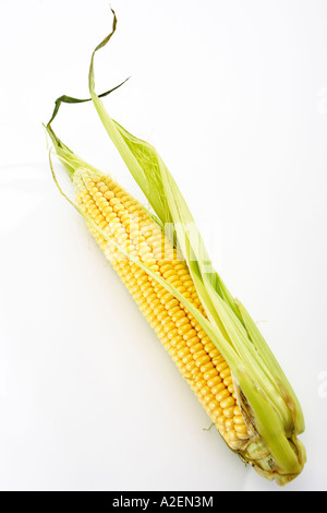 One corn cob without leaves isolated on white background with clipping ...