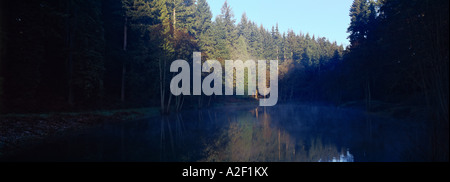 Soudley Ponds in Forest of Dean, Gloucestershire England UK. River ...
