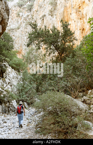 Kritsa Gorge (Kritsas gorge), Crete, Greece Stock Photo - Alamy