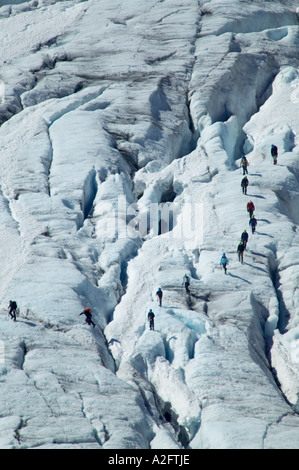 Glacier hikers wind through the blue ice crevices and over snow fields ...