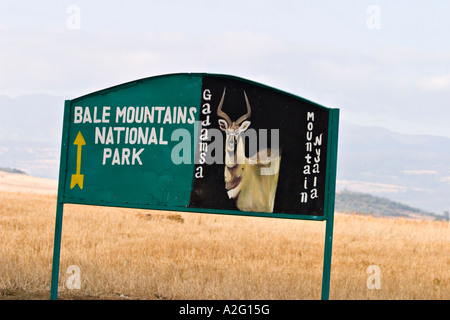 Bale Mountains National Park, Ethiopia, Africa Stock Photo - Alamy