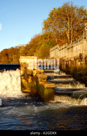 Lopwell Dam on the River Tavy, Devon, UK, in late Autumn sunshine and ...