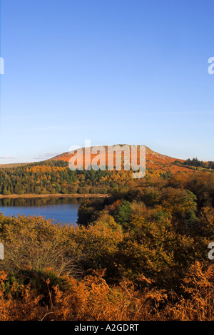 View over Burrator Reservoir in Devon Stock Photo - Alamy