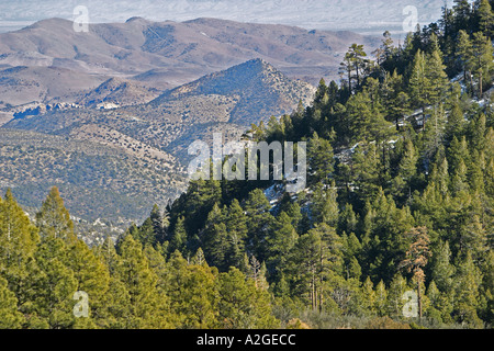 View from Emory Pass Trail, Black Range, Gila National Forest, New ...
