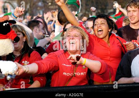 Female lady Welsh rugby supporters in daffodil costume following Stock ...