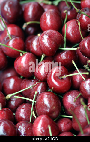 Juicy red cherries on cherry tree. Close-up Stock Photo - Alamy