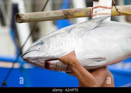 Yellowfin tuna fish market General Santos City, Mindanao, Philippines ...