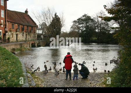 The watermill at Harnham near Salisbury Stock Photo - Alamy