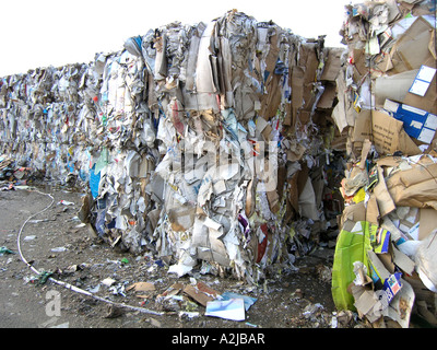 Compressed paper bales at a recycling plant reuse recycle waste ...