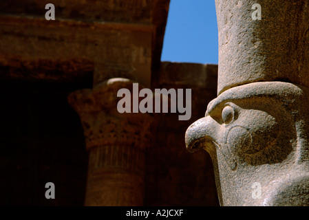 Statue of Horus the Hawk Headed God, Egypt Stock Photo - Alamy