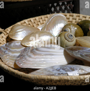 Pretty shells in a whicker basket for sale to tourists in Lanzarote ...