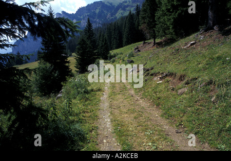 Val San Nicolï¿½ Stock Photo - Alamy