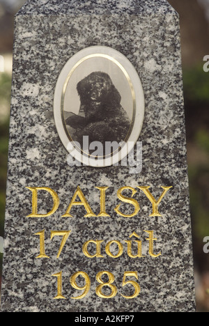 Headstone in a pet cemetery and pet burial ground in Jesmond Dene in ...