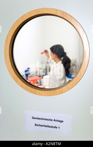 Scientist working at the laboratory Stock Photo - Alamy