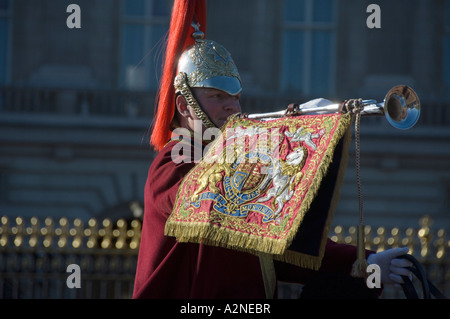 Lifeguard of the Blues and Royals outside Buckingham Palace in London ...