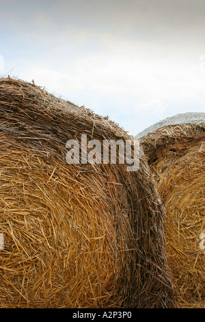Bundles of hay Stock Photo - Alamy