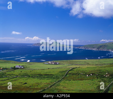 irelands coastal landscape with small field and wild flowers, county ...