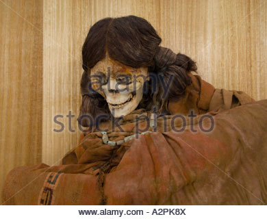 Mummy Pedro de Atacama Chile Stock Photo: 20723704 - Alamy