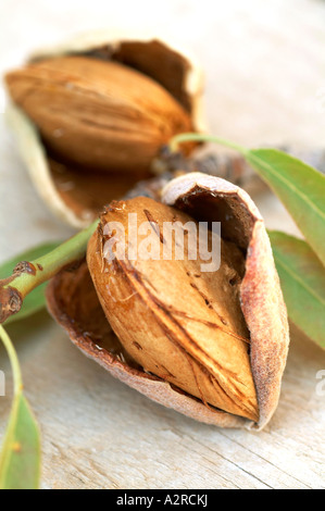 Branch with almonds in their shells and hulls on wooden surface Stock ...