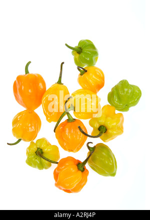 Small red and green chilli peppers Stock Photo - Alamy