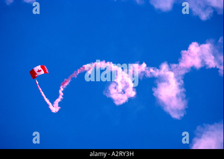 One Sky Diver skydiving with Canadian Flag Parachute and Pink Smoke ...