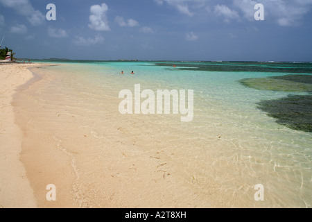 France, La Martinique, Cap Chevalier, Anse Michel beach Stock Photo - Alamy