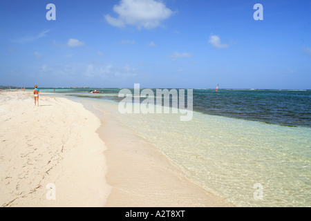 France, La Martinique, Cap Chevalier, Anse Michel beach Stock Photo - Alamy