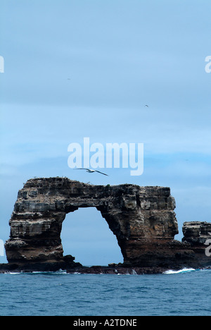 Darwin Arch in the Galapagos Archipelago Stock Photo - Alamy
