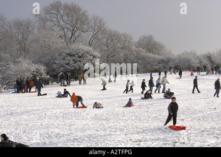 Children and families sledging on the Beverley Westwood Common near ...