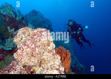 Diver swimming inside the Gordon Rocks Crater in Galapagos Stock Photo ...