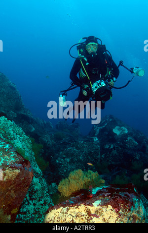 Diver swimming inside the Gordon Rocks Crater in Galapagos Stock Photo ...